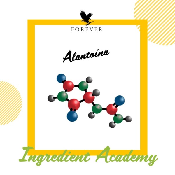 Alantoína - Aloe Vera Lisboa