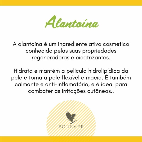 Alantoína - Aloe Vera Lisboa
